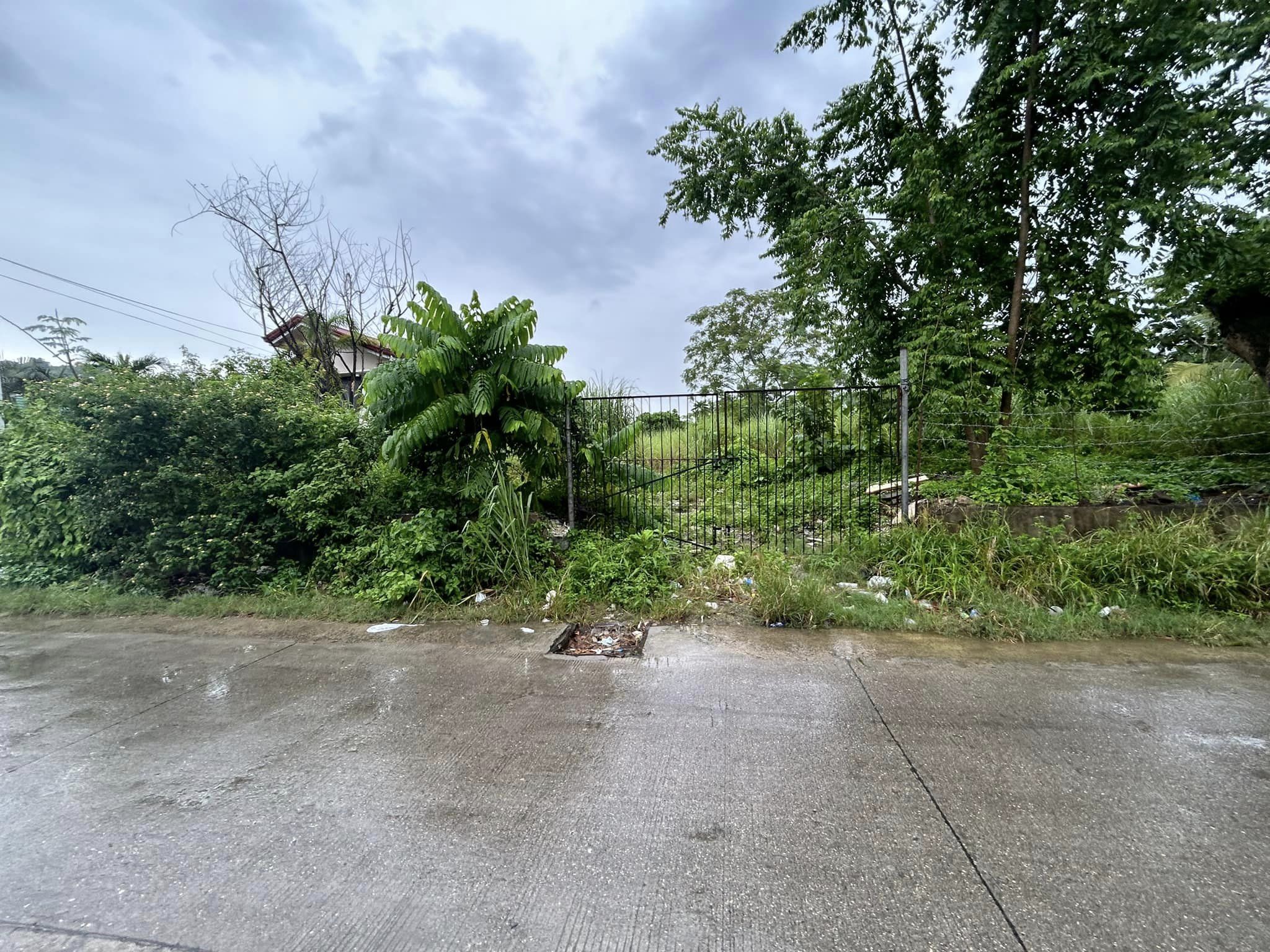 Talamban Lot For Sale